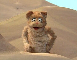 Rocky (cat) | Muppet Wiki | Fandom