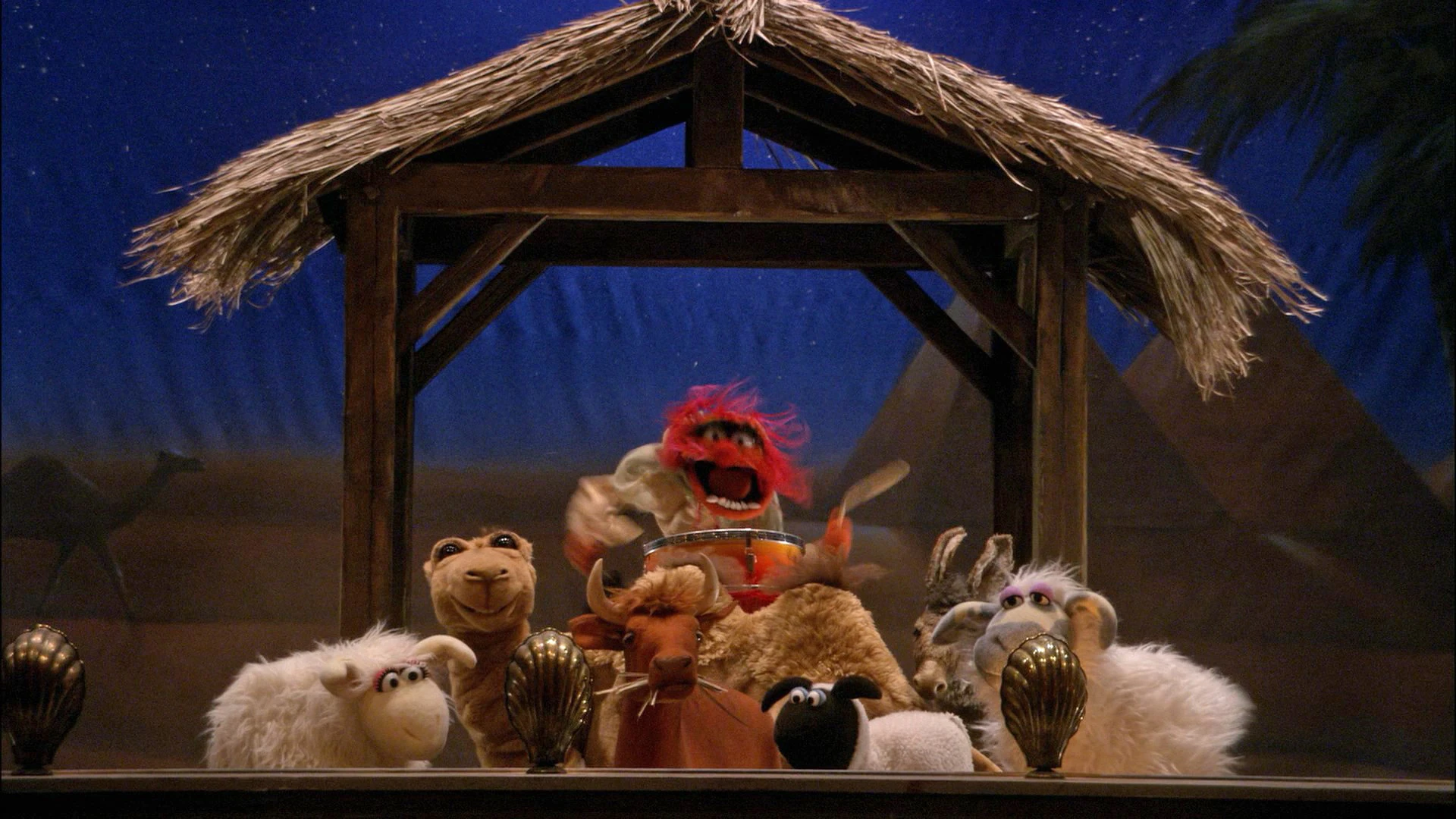Muppets Animal Drummer Wallpaper