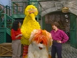 Episode 3593 | Muppet Wiki | Fandom