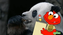 Elmo at the Zoo (web series) | Muppet Wiki | Fandom