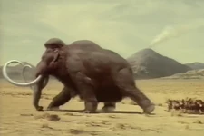 Mammoths | Muppet Wiki | Fandom