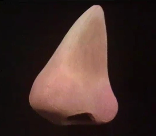 Mr. Nose | Muppet Wiki | Fandom