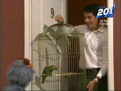 Episodio 1026 | Muppet Wiki | Fandom