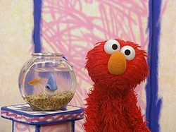 Elmo's World: Noses | Muppet Wiki | Fandom