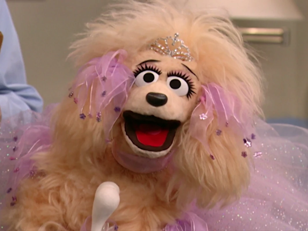 Sesame Street Gina Fluffy