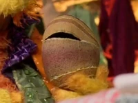 Rock characters | Muppet Wiki | Fandom