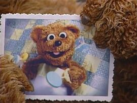 Bears | Muppet Wiki | Fandom