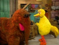 Episode 3810 | Muppet Wiki | Fandom