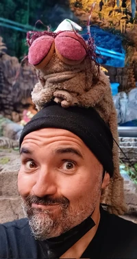 Episode 213: Hope and Socks | Muppet Wiki | Fandom