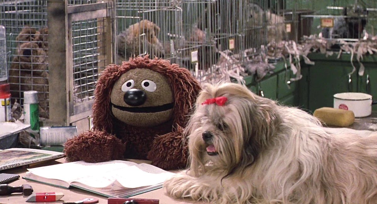 Snookums | Muppet Wiki | Fandom