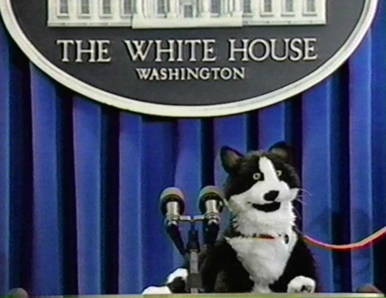 Socks the Cat | Muppet Wiki | Fandom