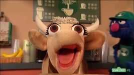 Muppets with miosis and mydriasis | Muppet Wiki | Fandom