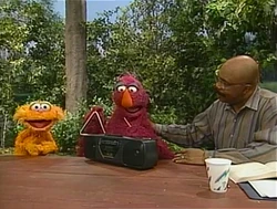 Episode 3455 | Muppet Wiki | Fandom