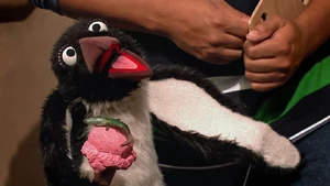Penelope Penguin | Muppet Wiki | Fandom