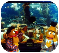 Green Earth Blue Skies | Muppet Wiki | Fandom