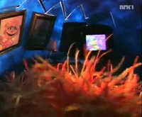 Py | Muppet Wiki | Fandom