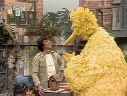 Episode 0995 | Muppet Wiki | Fandom