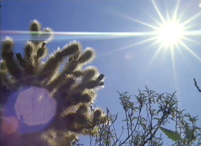 No Chance of Rain | Muppet Wiki | Fandom