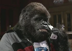 Gorillas | Muppet Wiki | Fandom