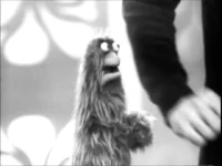 The Muppets on Puppets | Muppet Wiki | Fandom