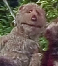 Otters | Muppet Wiki | Fandom