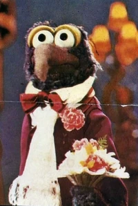 The Muppet Show deleted scenes | Muppet Wiki | Fandom