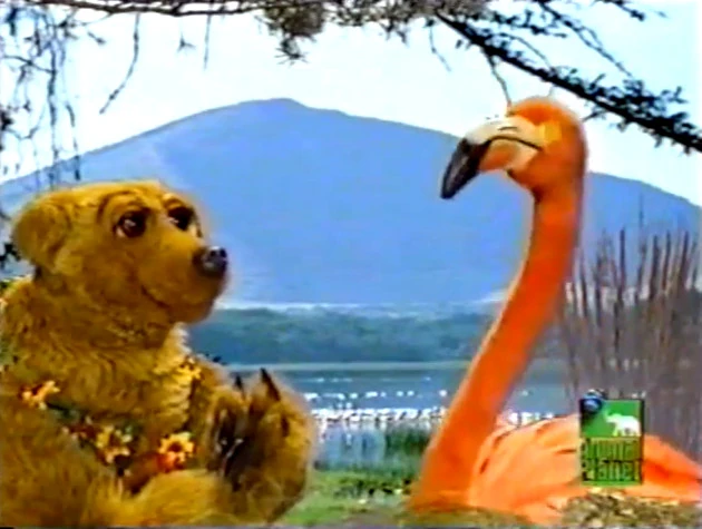 Beaks | Muppet Wiki | Fandom