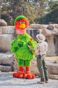 Africam Safari | Muppet Wiki | Fandom