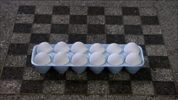 Episode 4237 | Muppet Wiki | Fandom