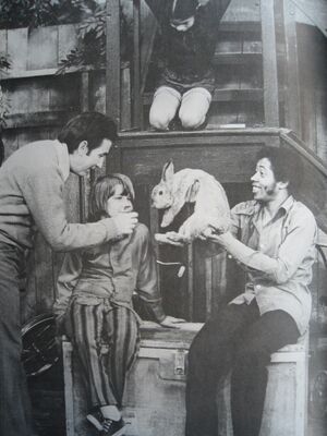 Season 2 (1970-1971) | Muppet Wiki | Fandom
