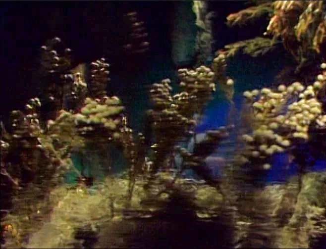 Doogan Berries | Muppet Wiki | Fandom