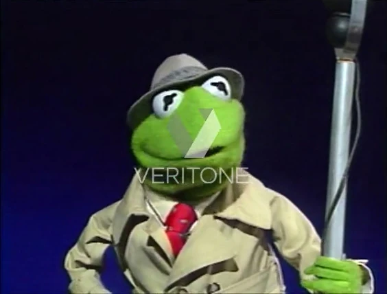 Forum:Reporter Kermit on CBS | Muppet Wiki | Fandom