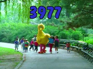 Episode 3977 | Muppet Wiki | Fandom