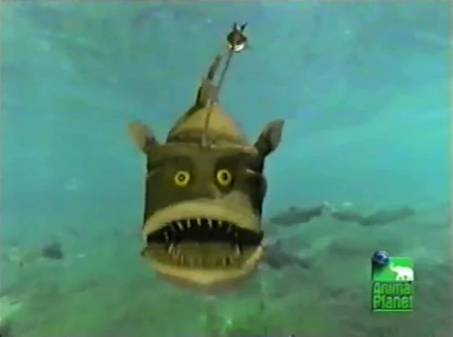 Fish Song | Muppet Wiki | Fandom