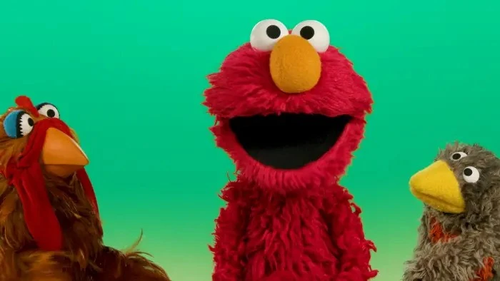 My Elmo: Feathered Friends | Muppet Wiki | Fandom