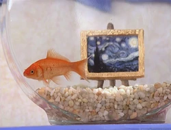 Elmo's World: Sky | Muppet Wiki | Fandom