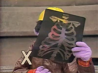 X-rays | Muppet Wiki | Fandom