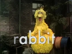 Episode 0144 | Muppet Wiki | Fandom