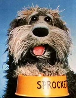 Laughter | Muppet Wiki | Fandom