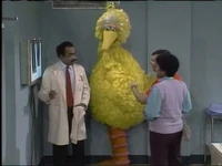 X-rays | Muppet Wiki | Fandom