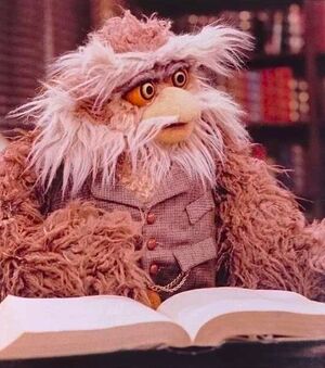 Hoots the Owl | Muppet Wiki | Fandom