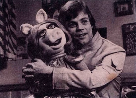 Episode 417: Star Wars | Muppet Wiki | Fandom