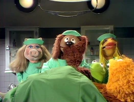 John Lovelady characters | Muppet Wiki | Fandom