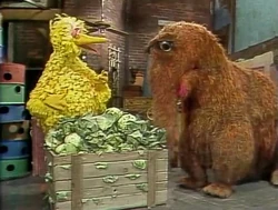 Episode 1644 | Muppet Wiki | Fandom