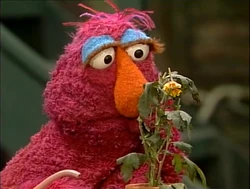 Episode 2639 | Muppet Wiki | Fandom