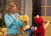 Episode 4307 | Muppet Wiki | Fandom