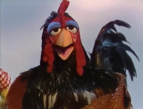 Rooster (Sesame Street) | Muppet Wiki | Fandom