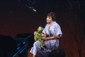 Episode 313: Helen Reddy | Muppet Wiki | Fandom