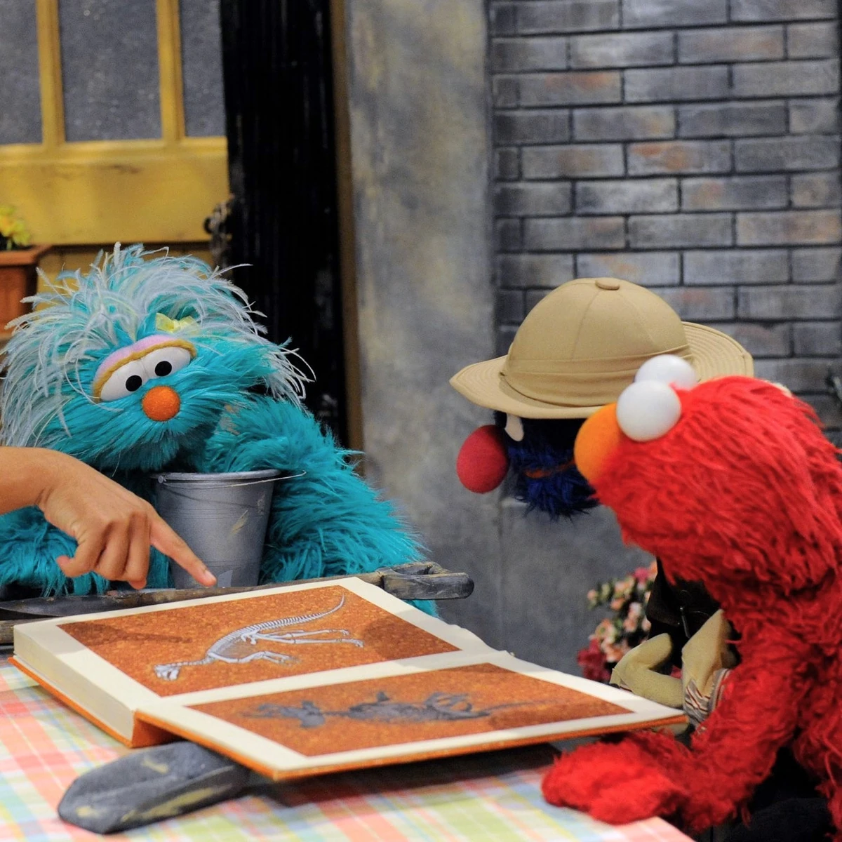 Episode 4314 | Muppet Wiki | Fandom