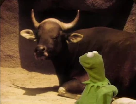 Kermit Lecture: Horns | Muppet Wiki | Fandom